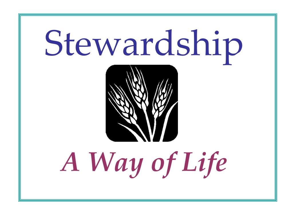 PPT - Stewardship PowerPoint Presentation, free download - ID:2682640