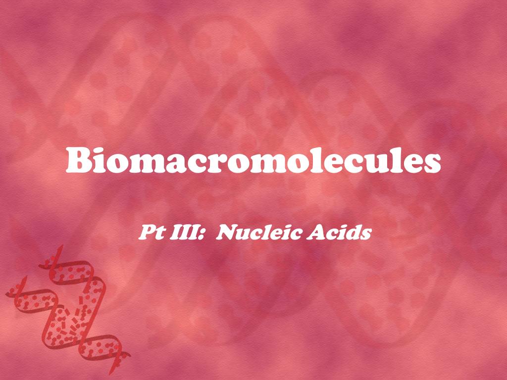 PPT - Biomacromolecules PowerPoint Presentation, free download - ID:2683558