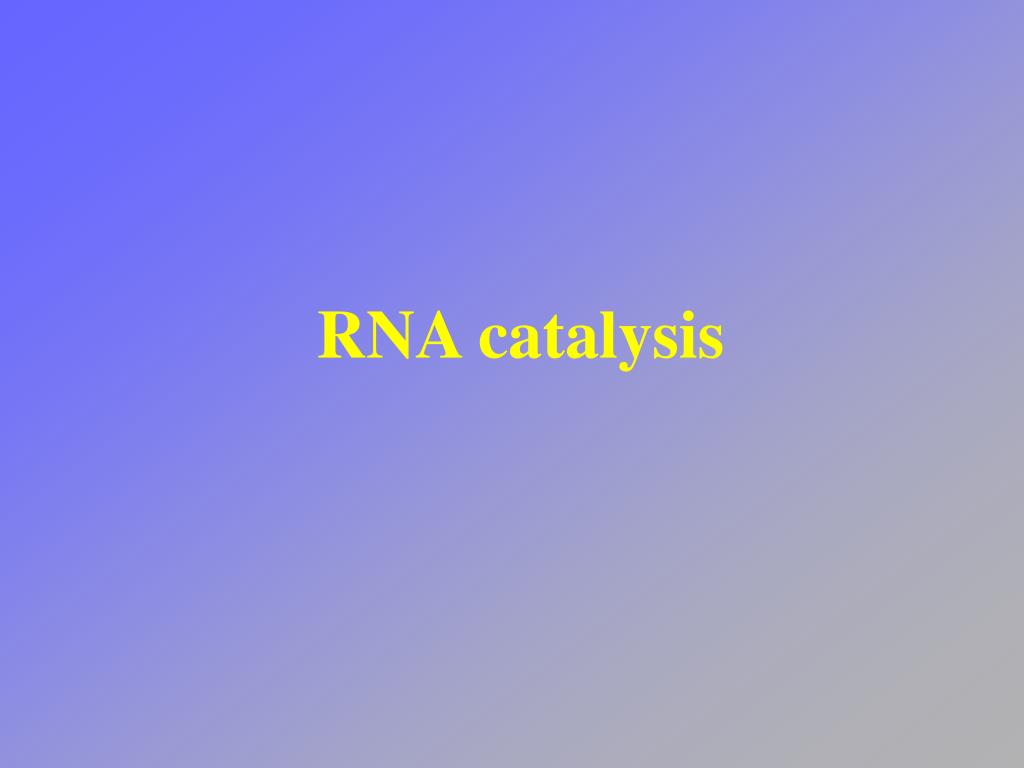 PPT - RNA catalysis PowerPoint Presentation, free download - ID:2683746