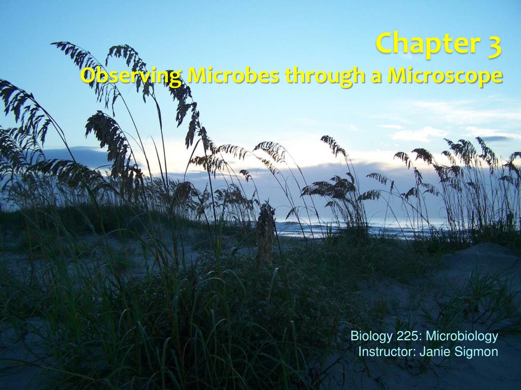 PPT - Chapter 3 Observing Microbes through a Microscope PowerPoint ...