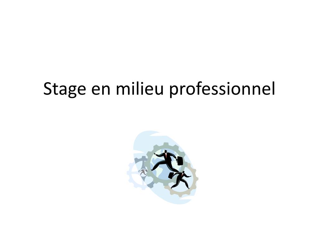 PPT - Stage en milieu professionnel PowerPoint Presentation, free ...