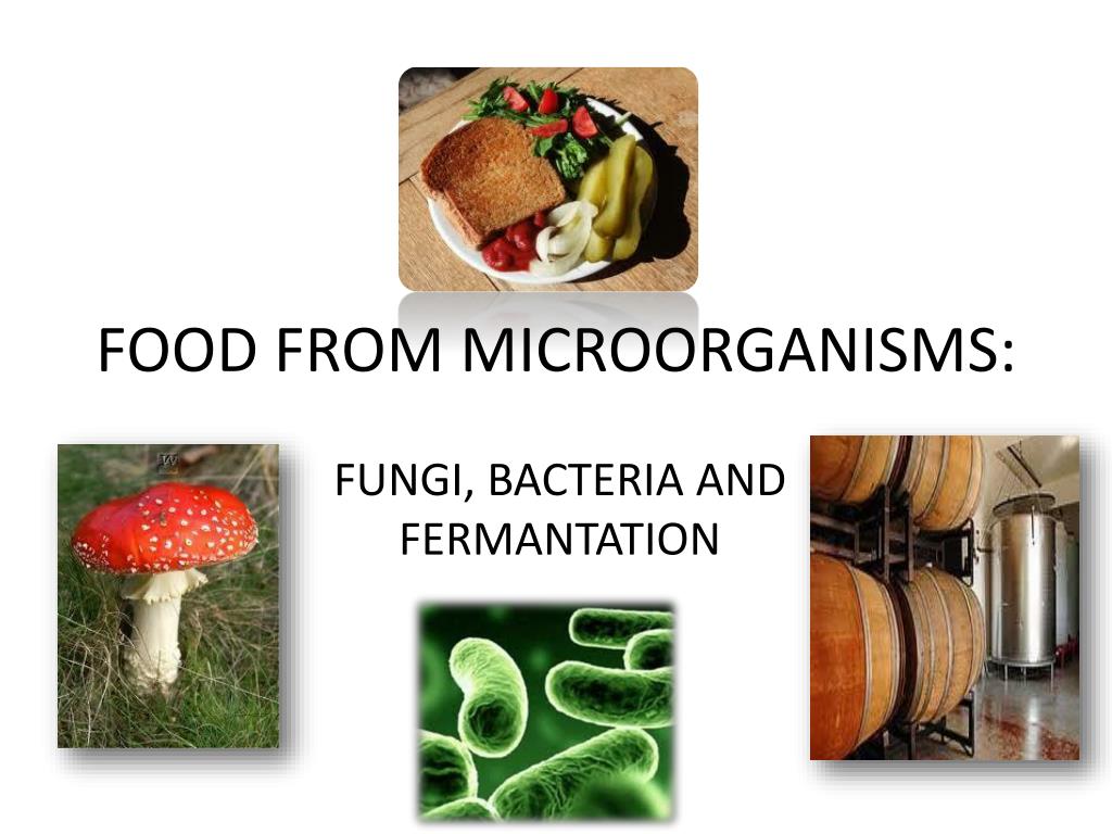 PPT - FOOD FROM MICROORGANISMS: PowerPoint Presentation, free download ...