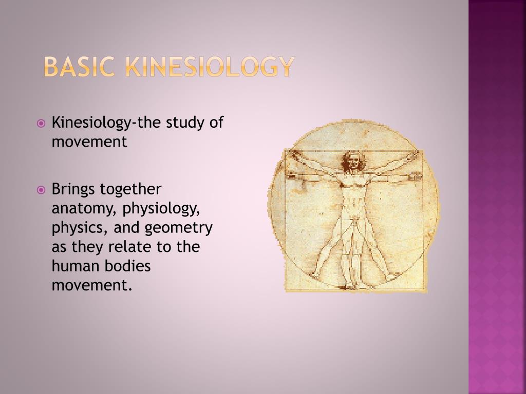 PPT - Basic Kinesiology PowerPoint Presentation, free download - ID:2685192