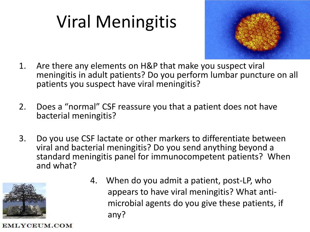 PPT - Viral Meningitis PowerPoint Presentation, free download - ID:2686365