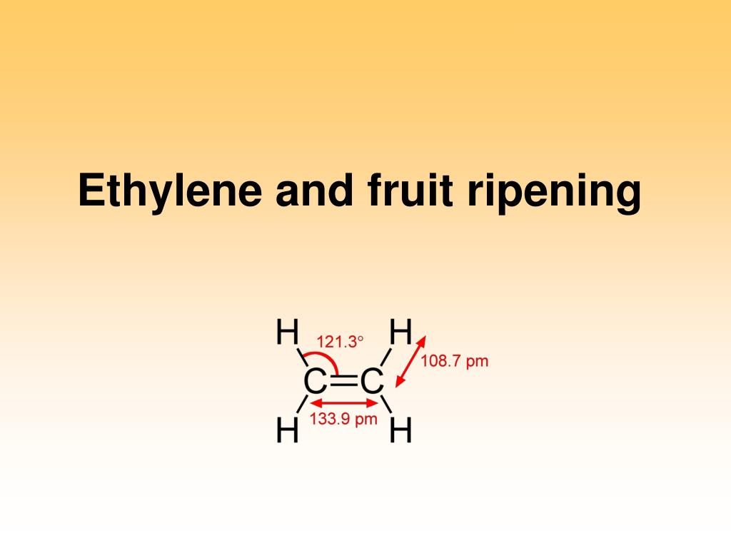 PPT - Ethylene and fruit ripening PowerPoint Presentation, free ...