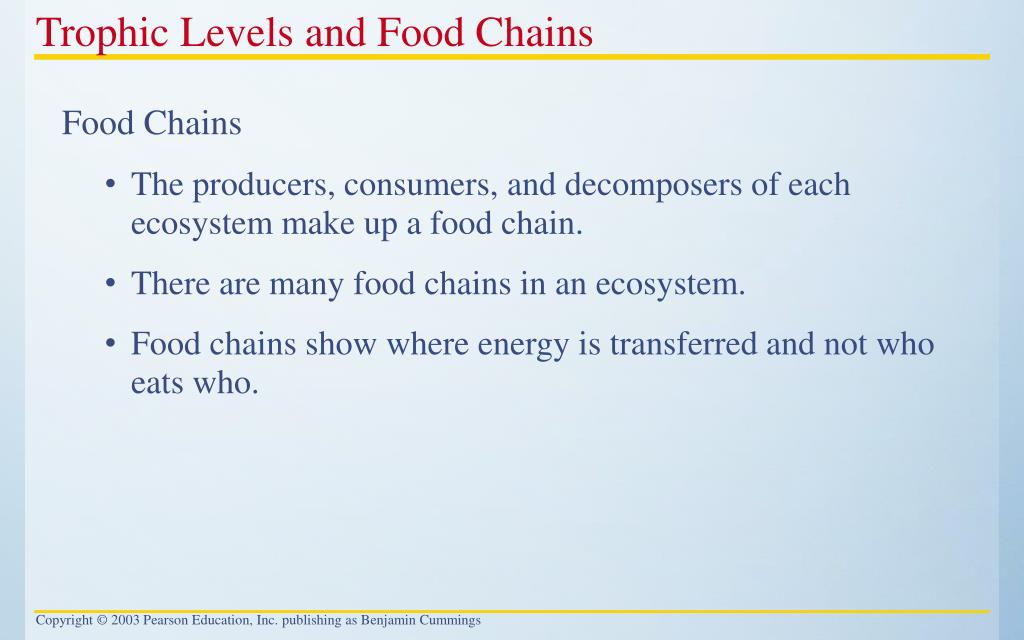 PPT - Food Chains PowerPoint Presentation, free download - ID:2686834