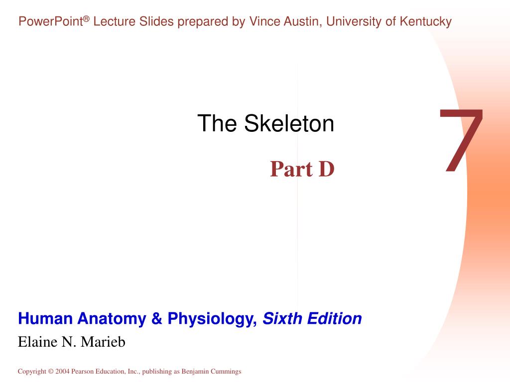 PPT - The Skeleton Part D PowerPoint Presentation, free download - ID ...