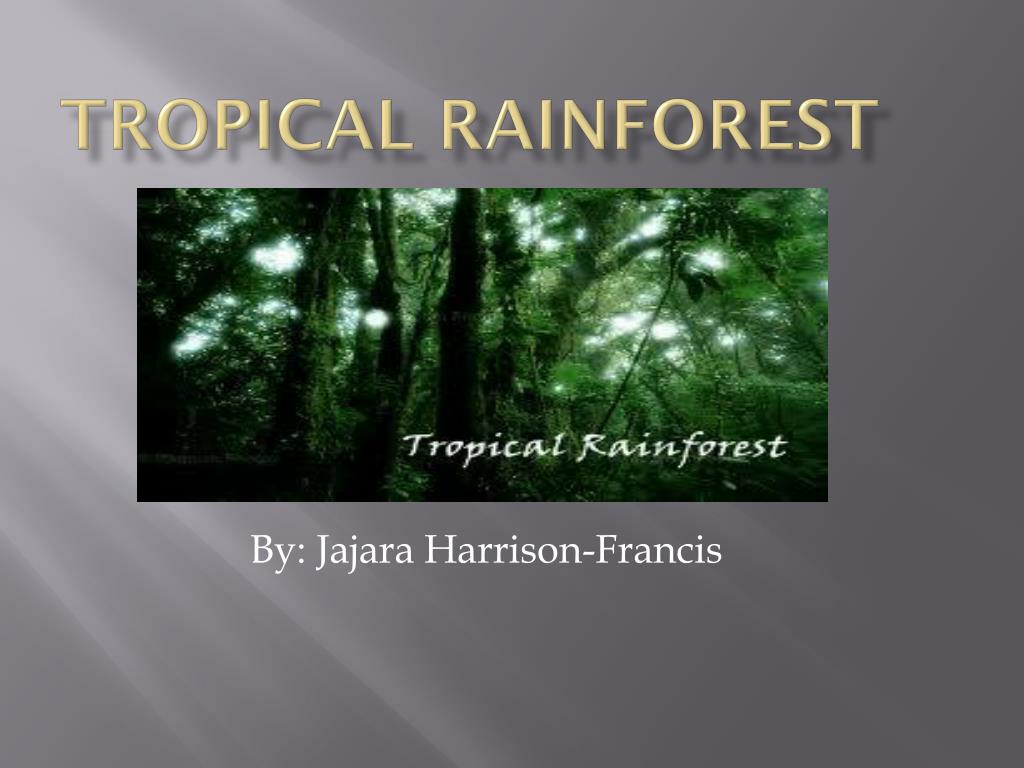PPT - Tropical Rainforest PowerPoint Presentation, free download - ID ...