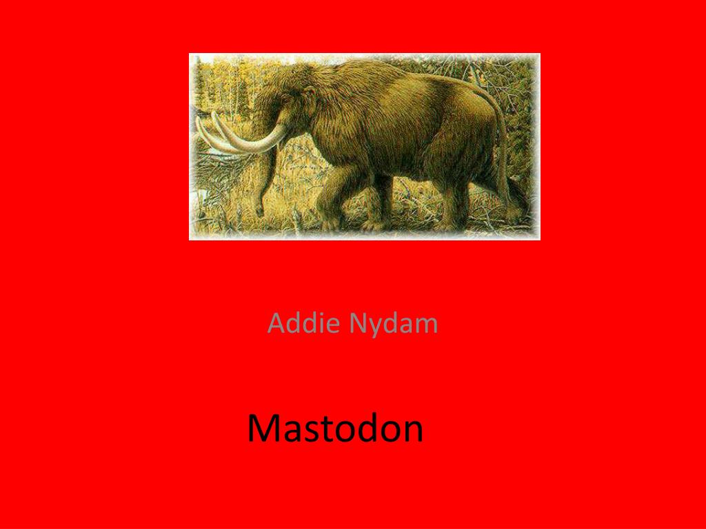 PPT - Mastodon PowerPoint Presentation, free download - ID:2690667