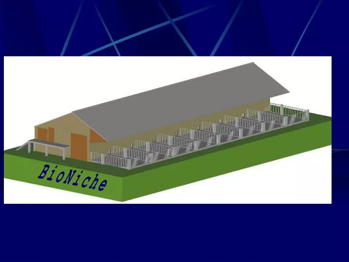 PPT - BioNiche PowerPoint Presentation, free download - ID:2692385