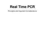 PPT - Real Time PCR Quantitative PCR PowerPoint Presentation, free ...