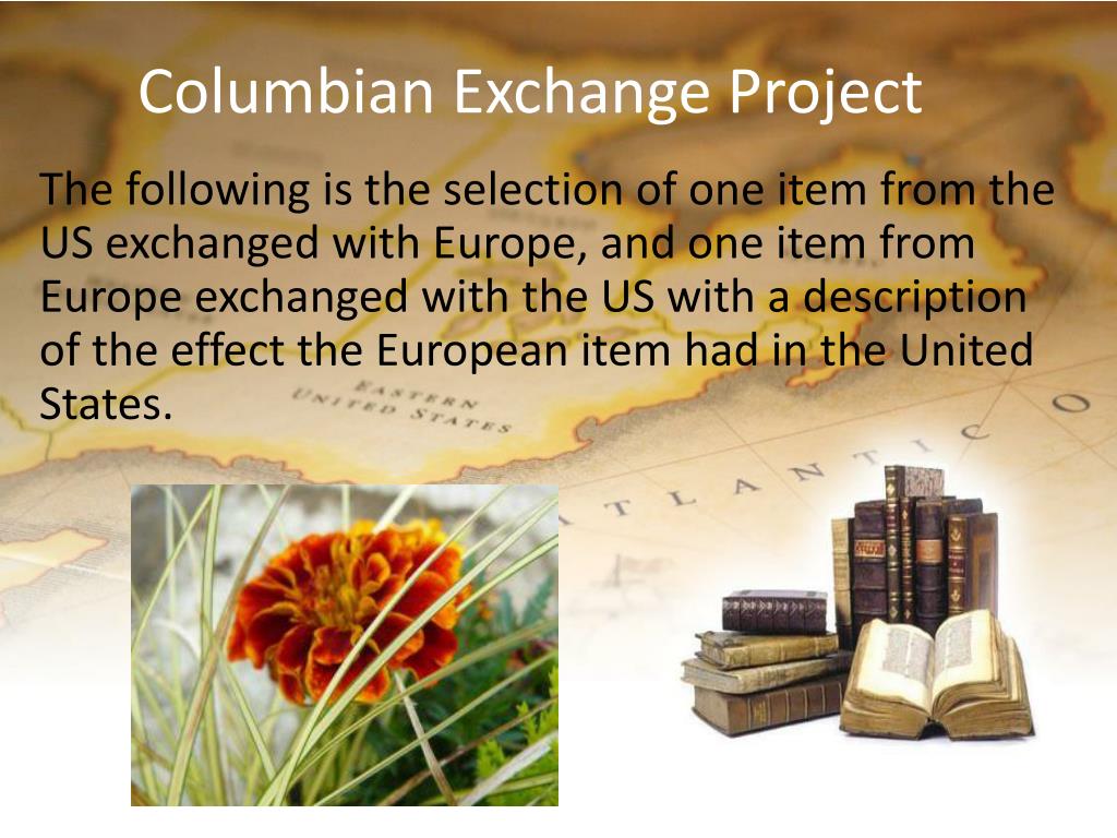 PPT - Columbian Exchange Project PowerPoint Presentation, free download ...