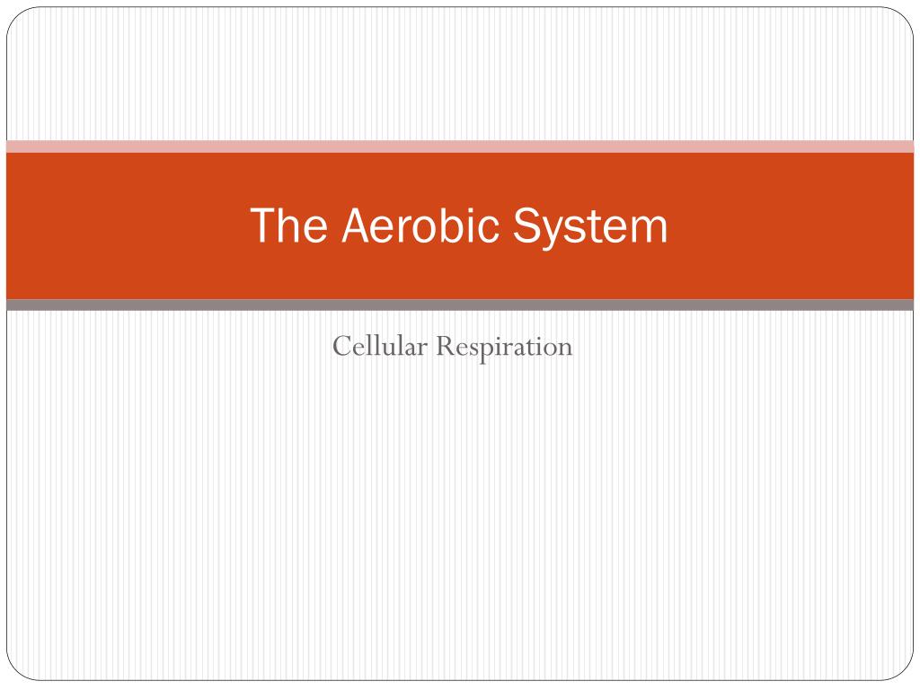 PPT - The Aerobic System PowerPoint Presentation, free download - ID ...