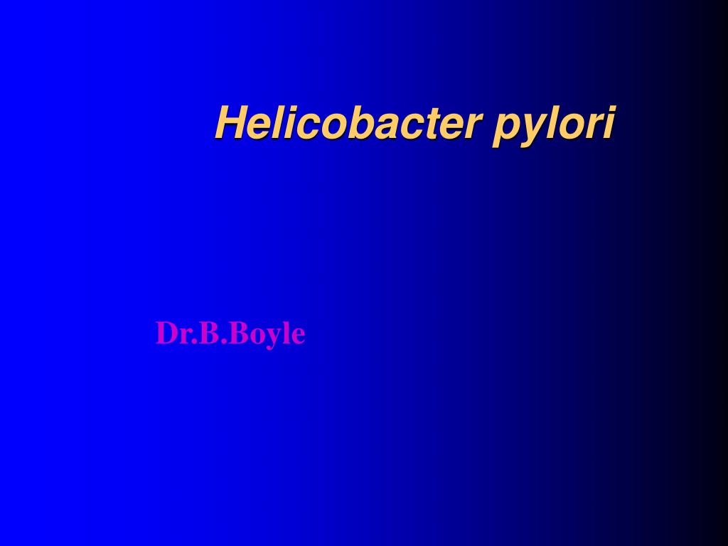 PPT - Helicobacter pylori PowerPoint Presentation, free download - ID ...