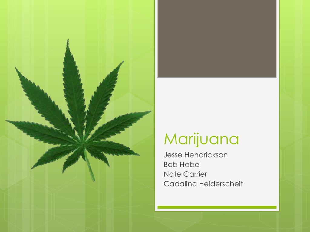PPT - Marijuana PowerPoint Presentation, free download - ID:2694699