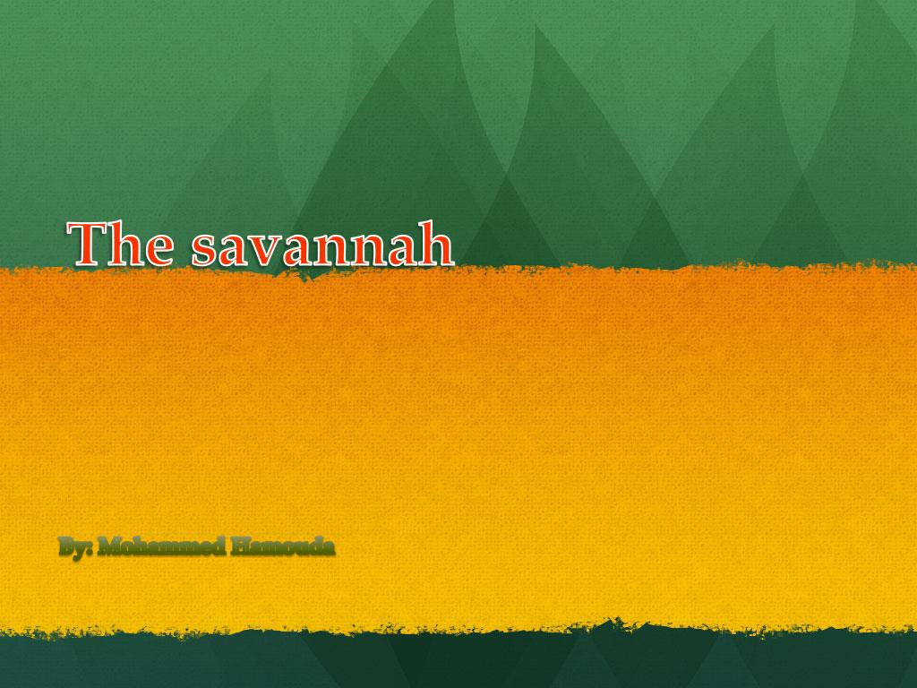 PPT - The savannah PowerPoint Presentation, free download - ID:2695336