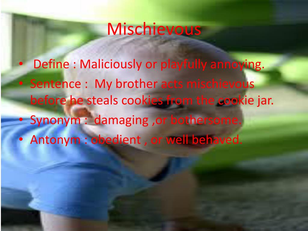 PPT - Mischievous PowerPoint Presentation, free download - ID:2695746