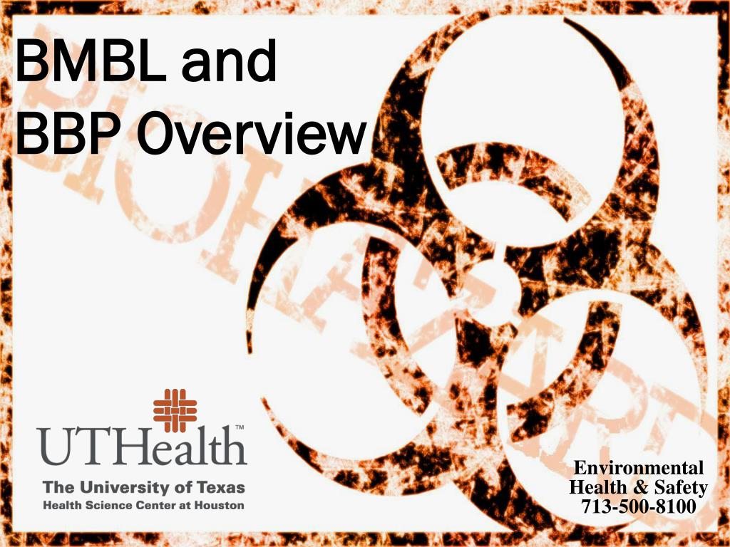 PPT - BMBL and BBP Overview PowerPoint Presentation, free download - ID ...