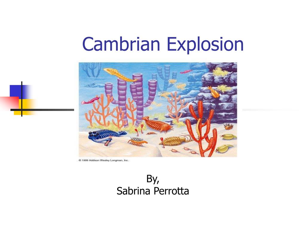 PPT - Cambrian Explosion PowerPoint Presentation, free download - ID ...