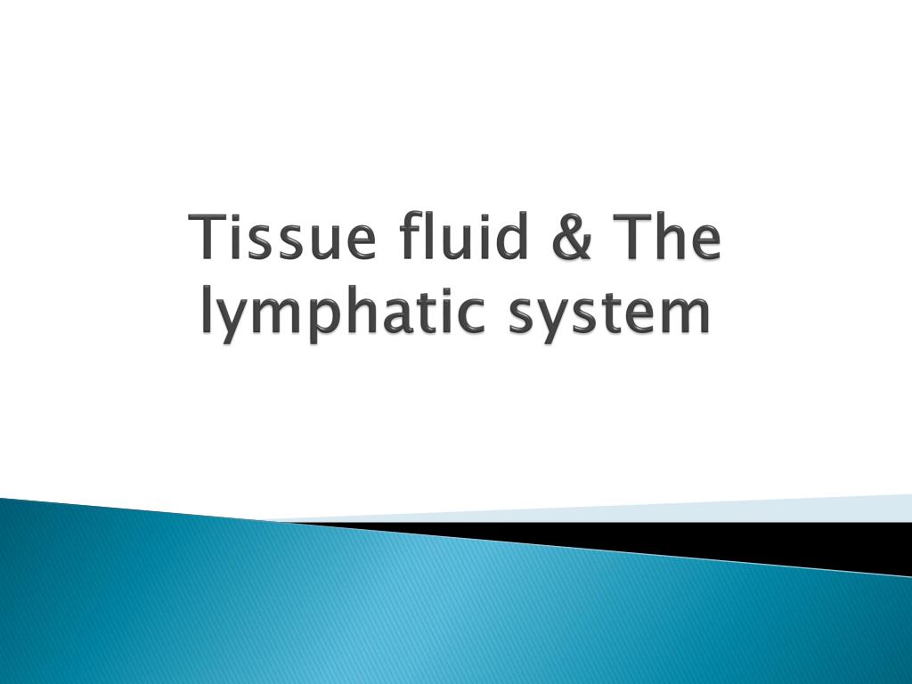 PPT - Tissue fluid & The lymphatic system PowerPoint Presentation - ID ...