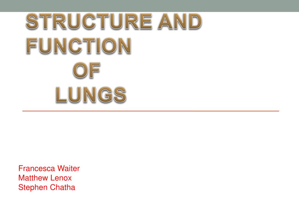 PPT - Structure and function of lungs PowerPoint Presentation, free ...