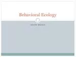 PPT - Behavioral Ecology PowerPoint Presentation, free download - ID ...