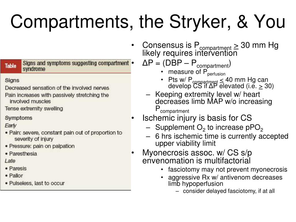 PPT - Compartments, the Stryker, & You PowerPoint Presentation - ID:2702595