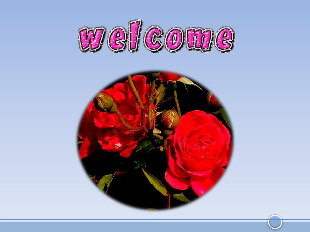 PPT - Lesson Identity: PowerPoint Presentation, free download - ID:2703359
