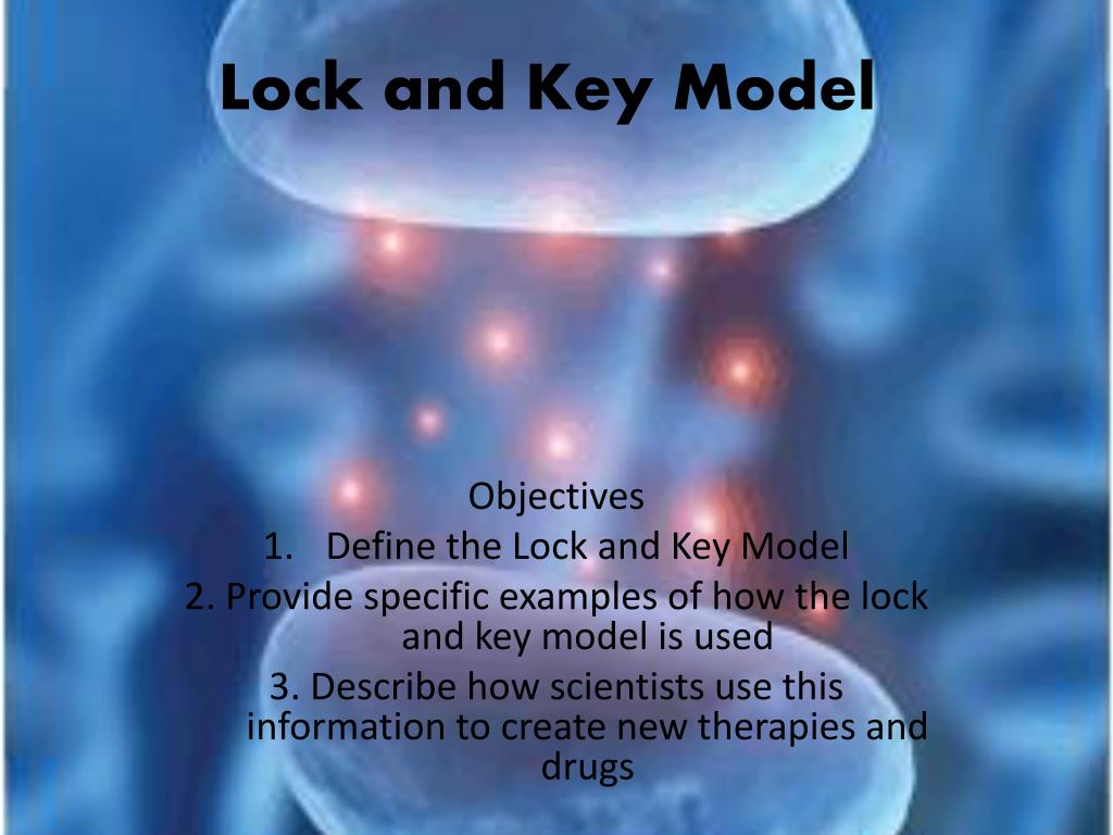 PPT - Lock and Key Model PowerPoint Presentation, free download - ID ...