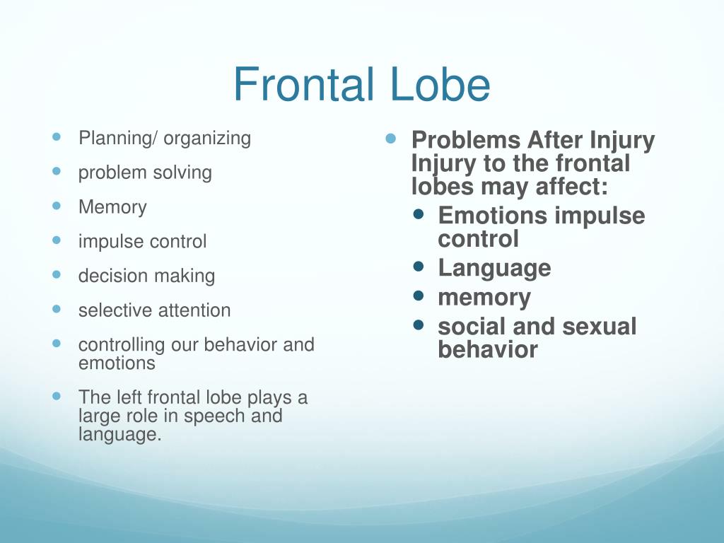 PPT - Frontal Lobe PowerPoint Presentation, free download - ID:2705407