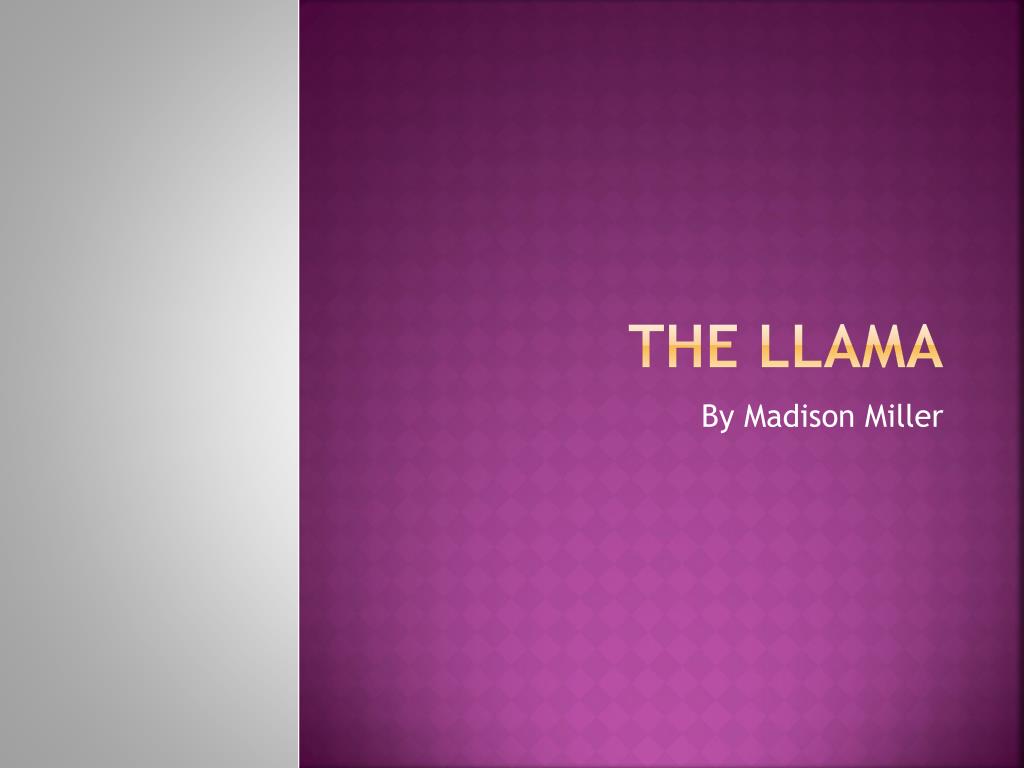 PPT - The Llama PowerPoint Presentation, free download - ID:2705850