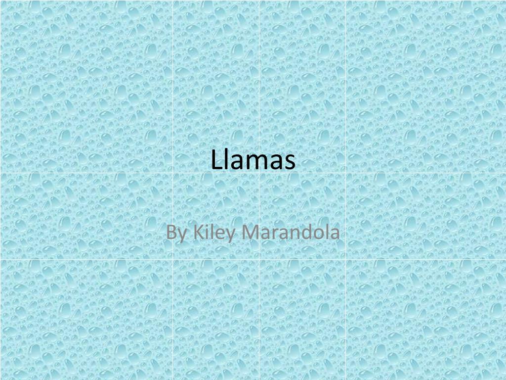 PPT - Llamas PowerPoint Presentation, free download - ID:2706080