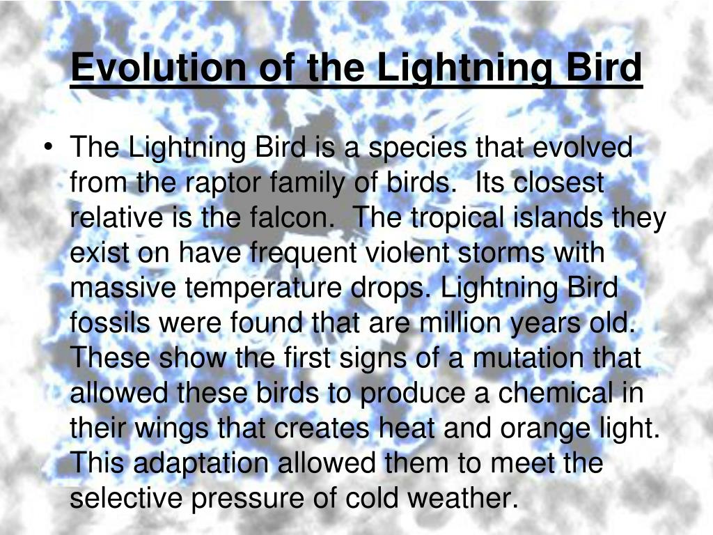 PPT - The Evolution of the Lightning Bird PowerPoint Presentation, free ...