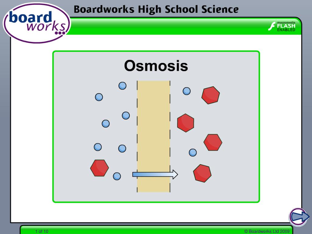 PPT - What is osmosis? PowerPoint Presentation, free download - ID:2712925