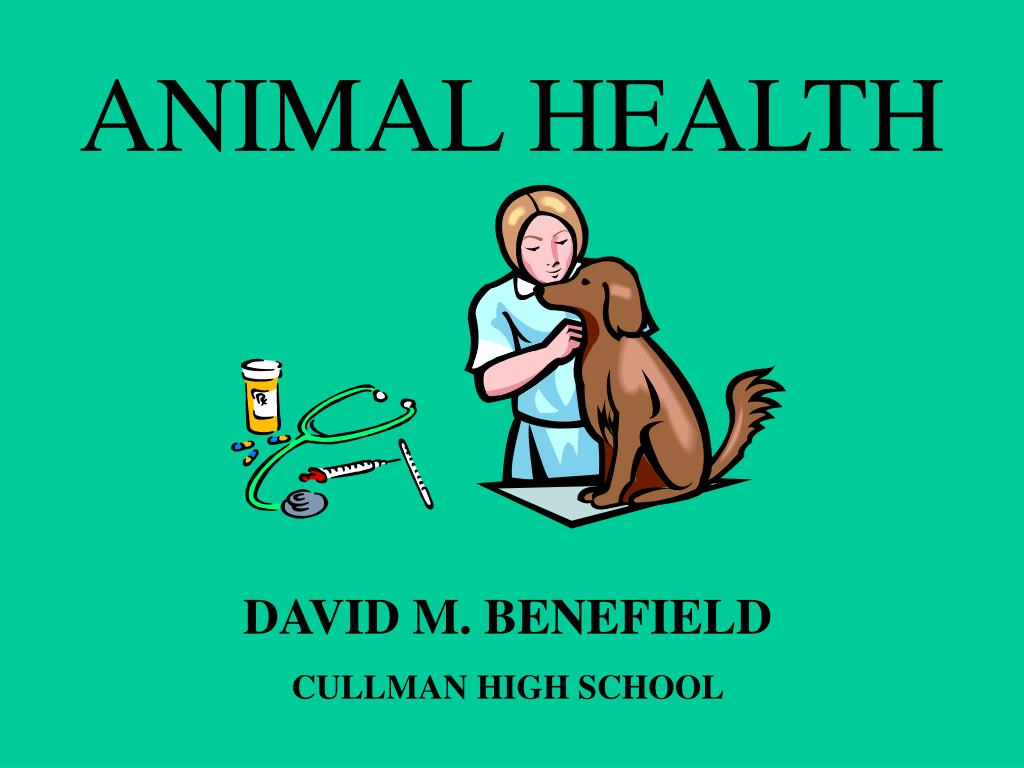 PPT - ANIMAL HEALTH PowerPoint Presentation, free download - ID:2714521
