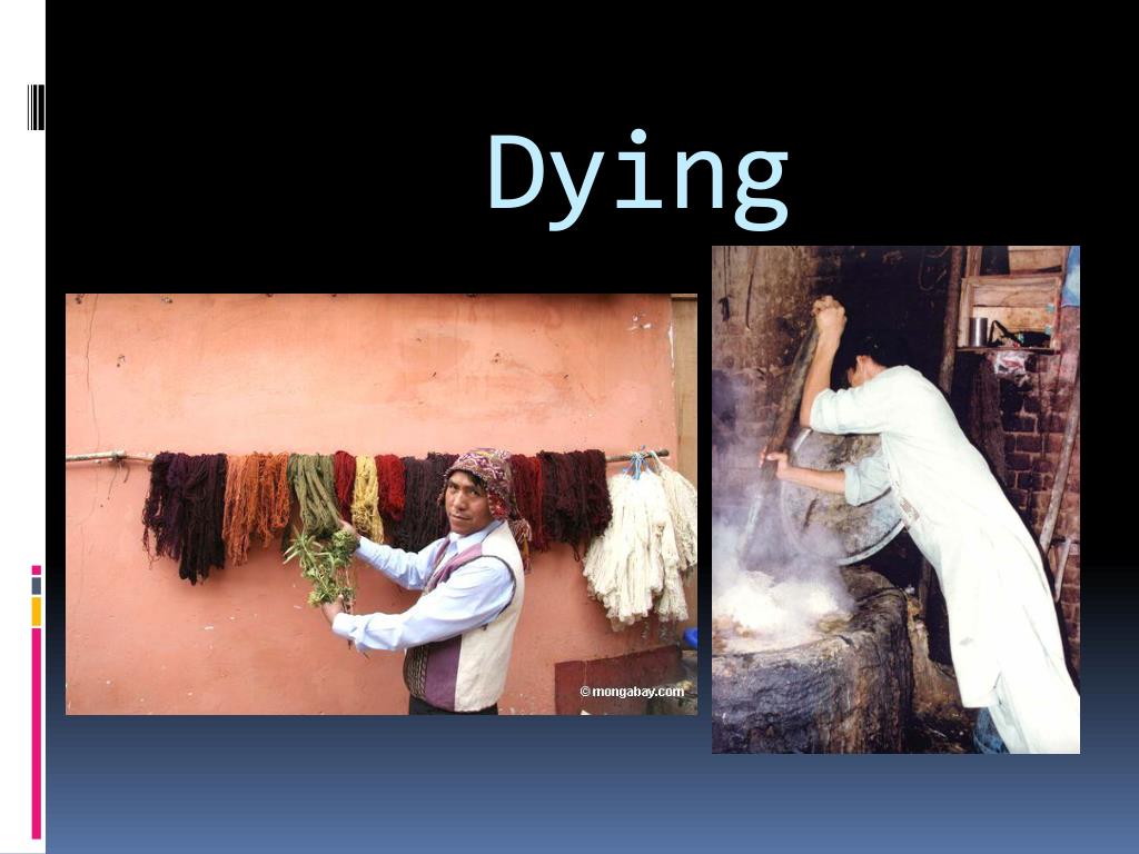 PPT - Dying PowerPoint Presentation, free download - ID:2717387