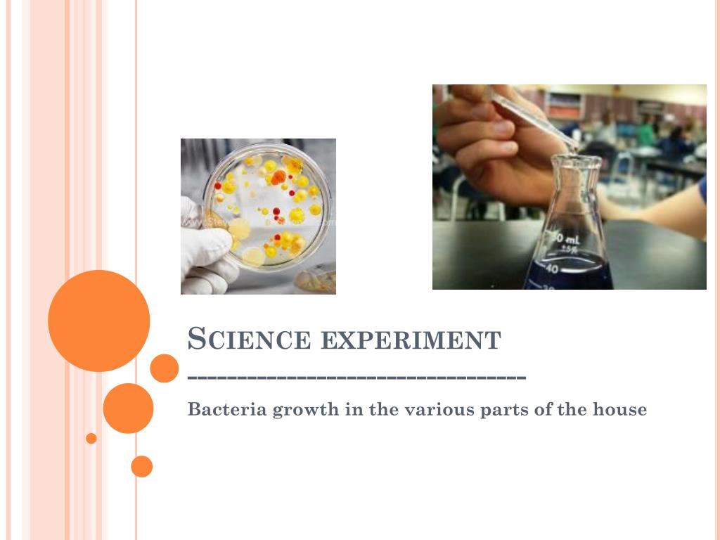 PPT - Science experiment ---------------------------------- PowerPoint ...