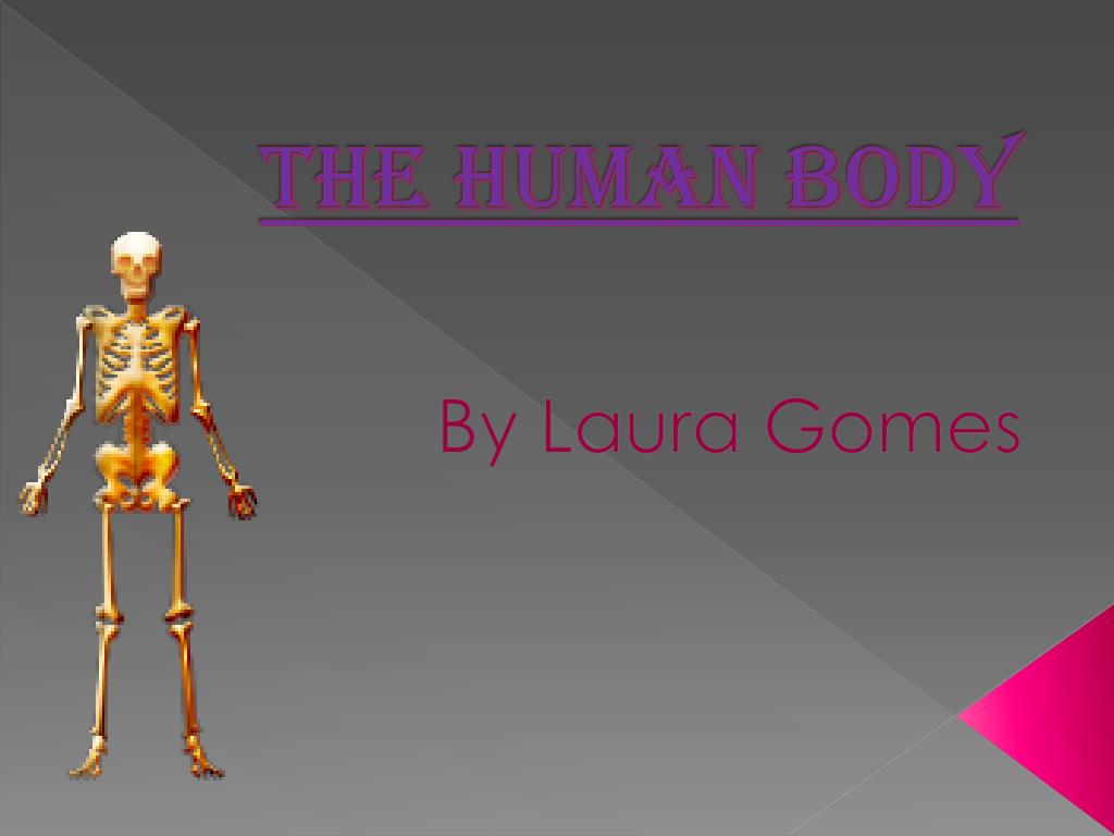 PPT - The Human Body PowerPoint Presentation, free download - ID:2720124