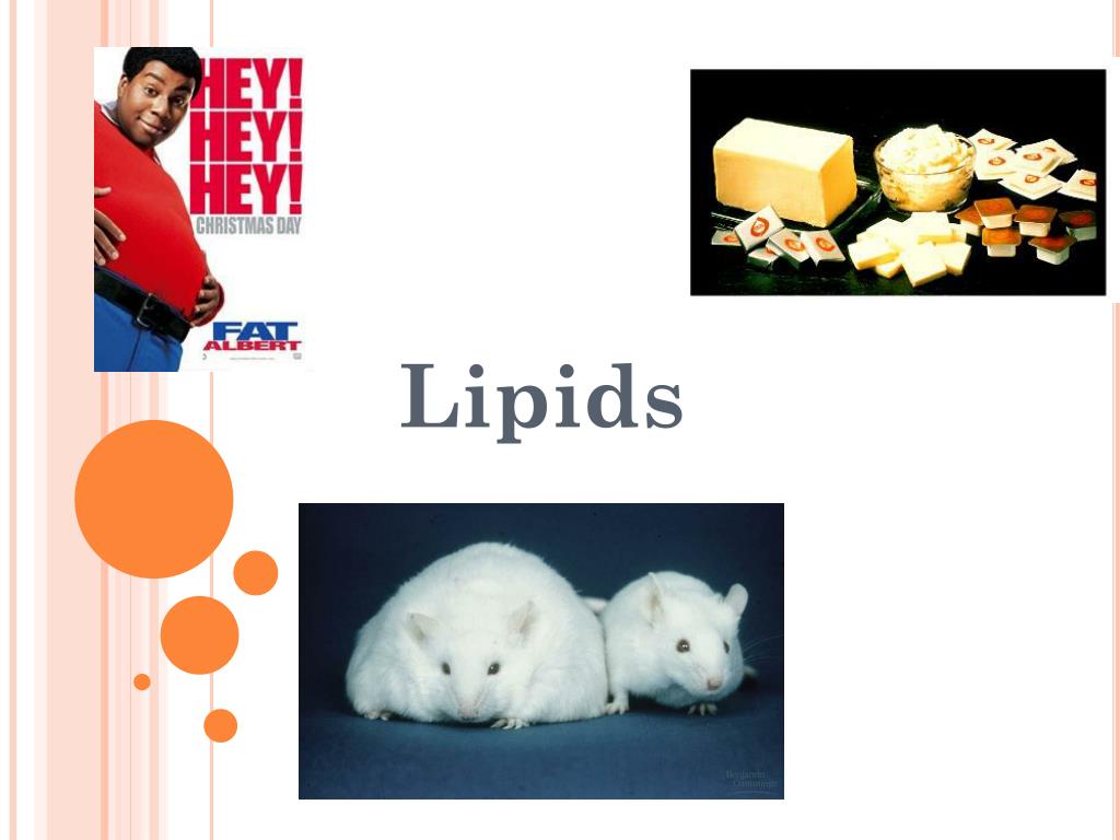 PPT - Lipids PowerPoint Presentation, free download - ID:2720690