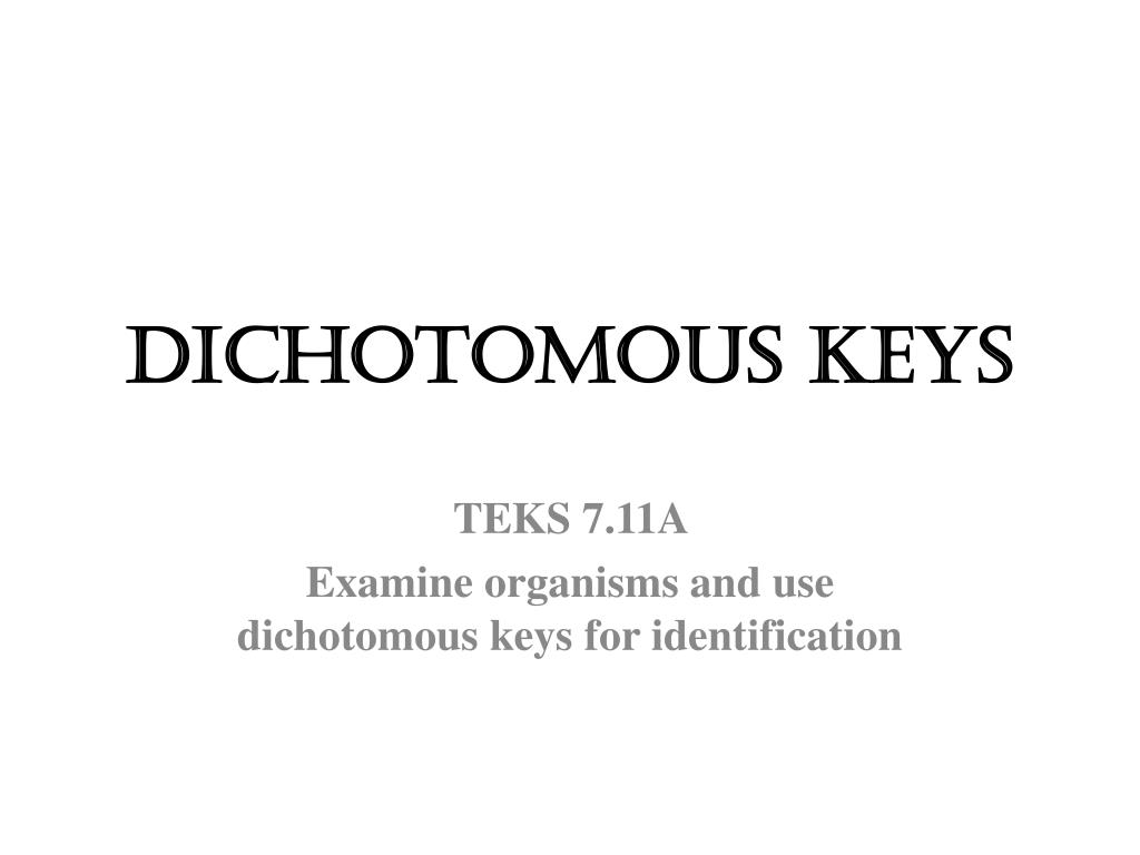 PPT - DICHOTOMOUS KEYS PowerPoint Presentation, free download - ID:2721766