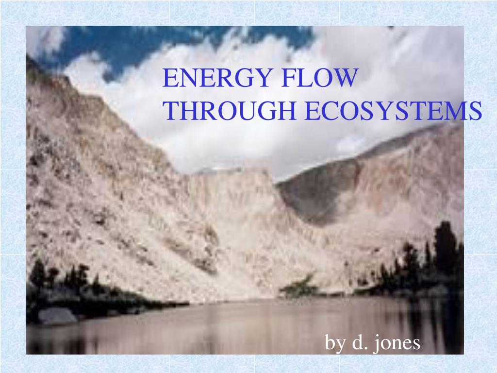PPT - ENERGY FLOW THROUGH ECOSYSTEMS PowerPoint Presentation, free ...