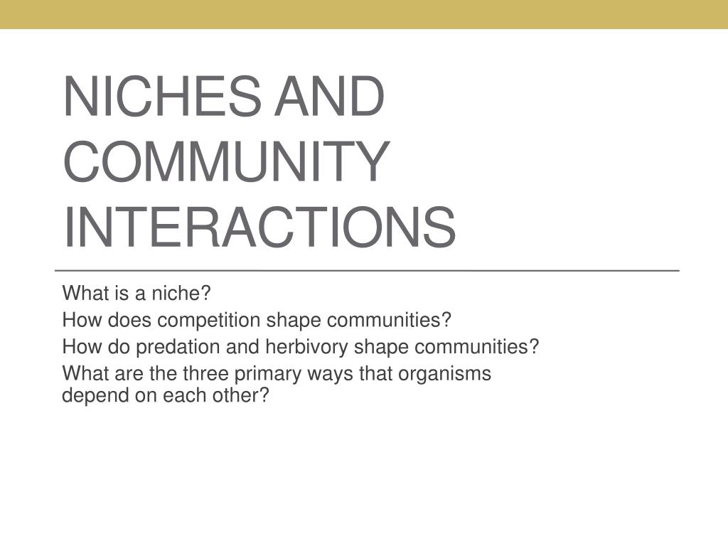 PPT - Niches and Community Interactions PowerPoint Presentation, free ...