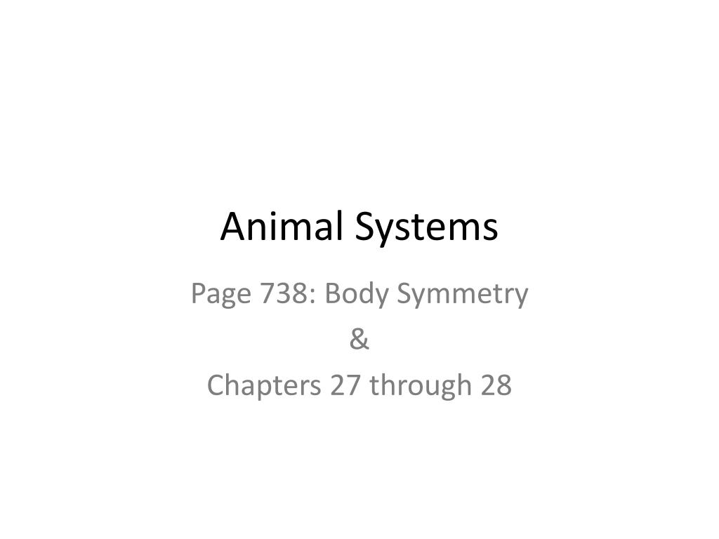 PPT - Animal Systems PowerPoint Presentation, free download - ID:2725836