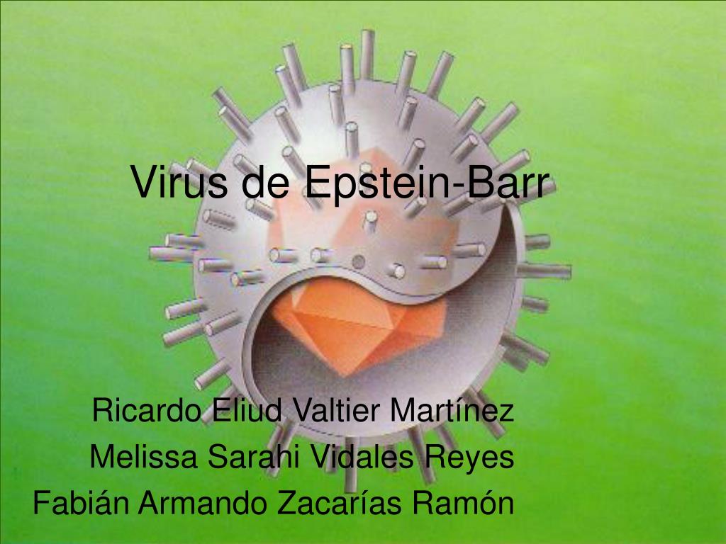 PPT - Virus de Epstein-Barr PowerPoint Presentation, free download - ID ...