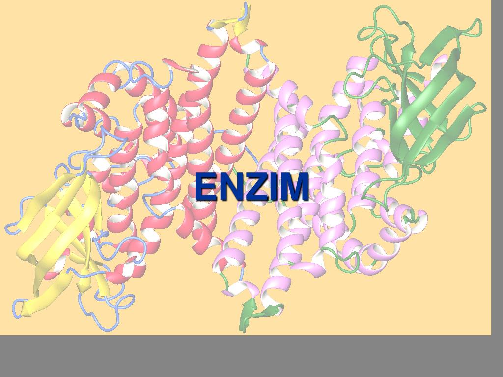 PPT - ENZIM PowerPoint Presentation, free download - ID:2726983