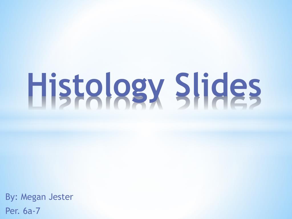 PPT - Histology Slides PowerPoint Presentation, free download - ID:2727640