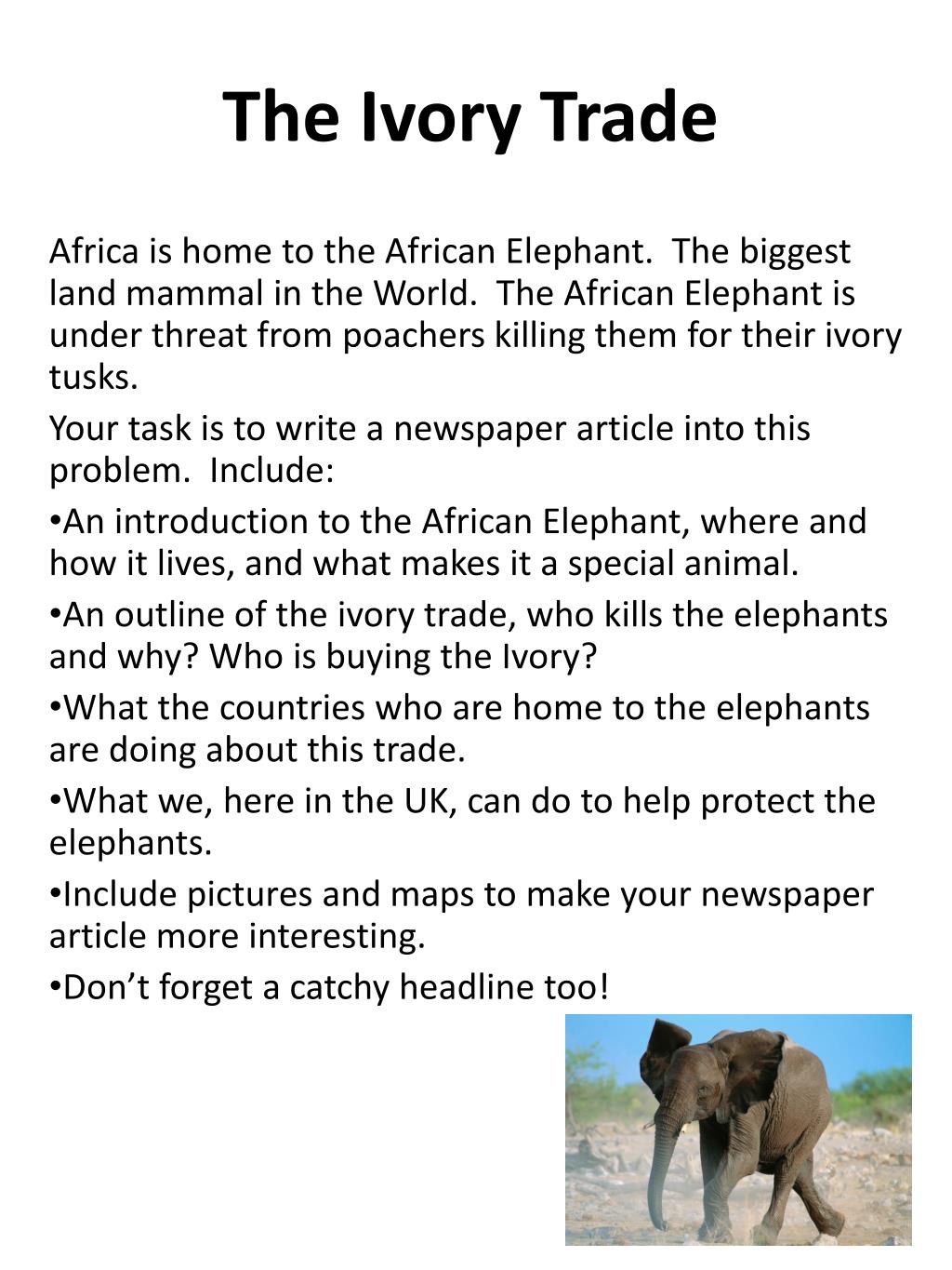 PPT - The Ivory Trade PowerPoint Presentation, free download - ID:2729485