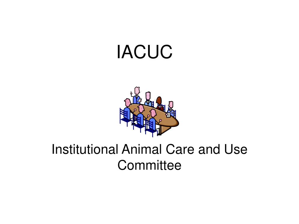 PPT - IACUC PowerPoint Presentation, free download - ID:2732758