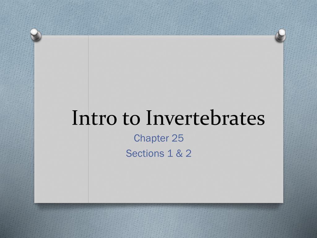 PPT - Intro to Invertebrates PowerPoint Presentation, free download ...