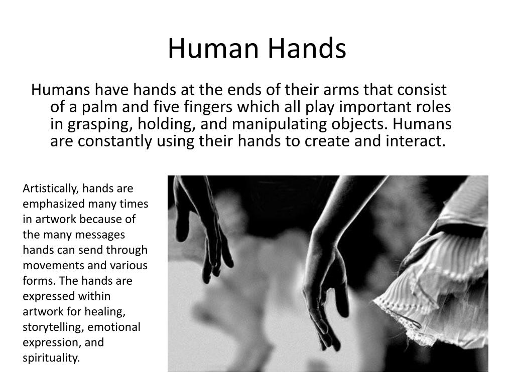 PPT - Human Hands PowerPoint Presentation, free download - ID:2733979
